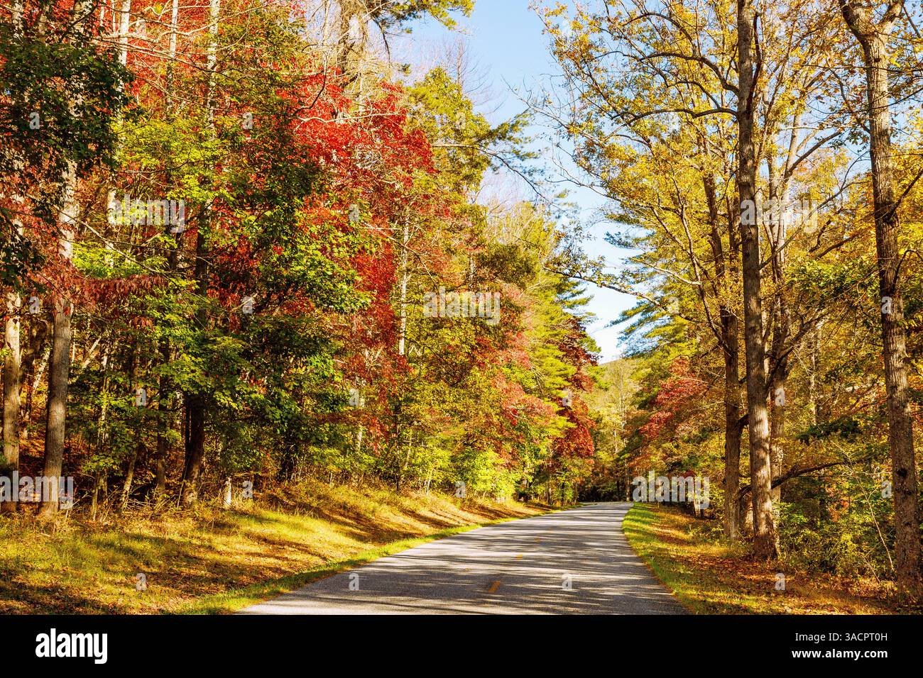 Blue Ridge Parkway with trees in fall colors (Indian Summer) near ...