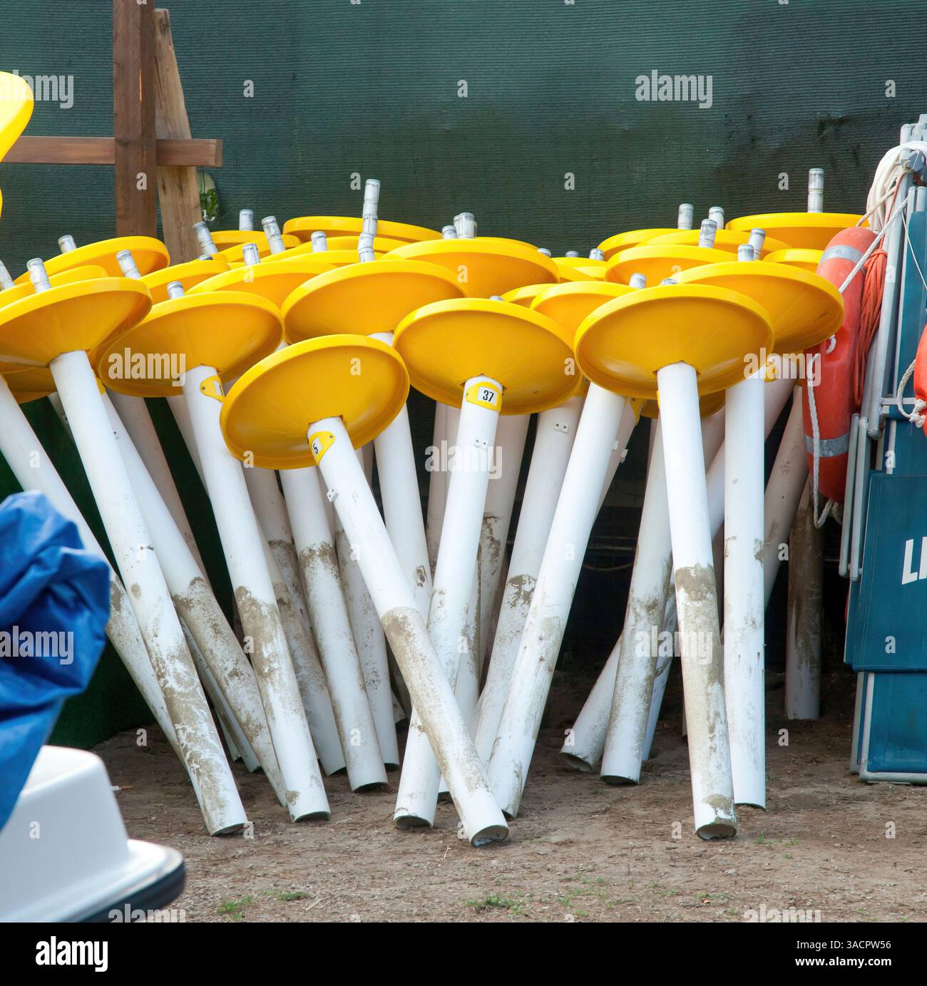 Many white poles with yellow tops, used to support beach umbrellas, are ...
