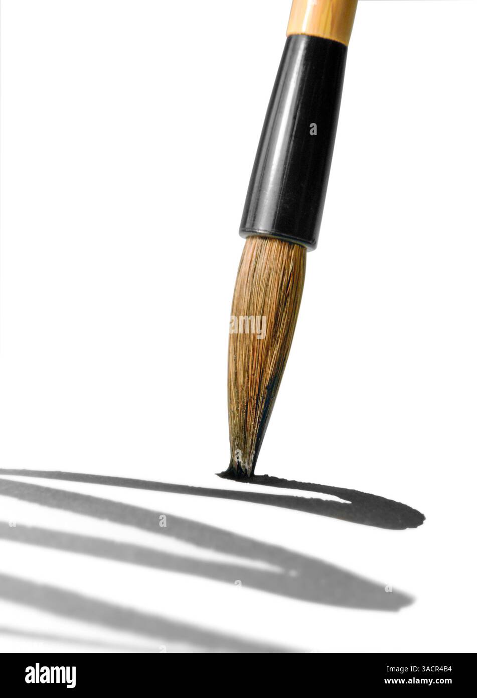 Detail of a chinese brush while drawing a vivid black line in white ...