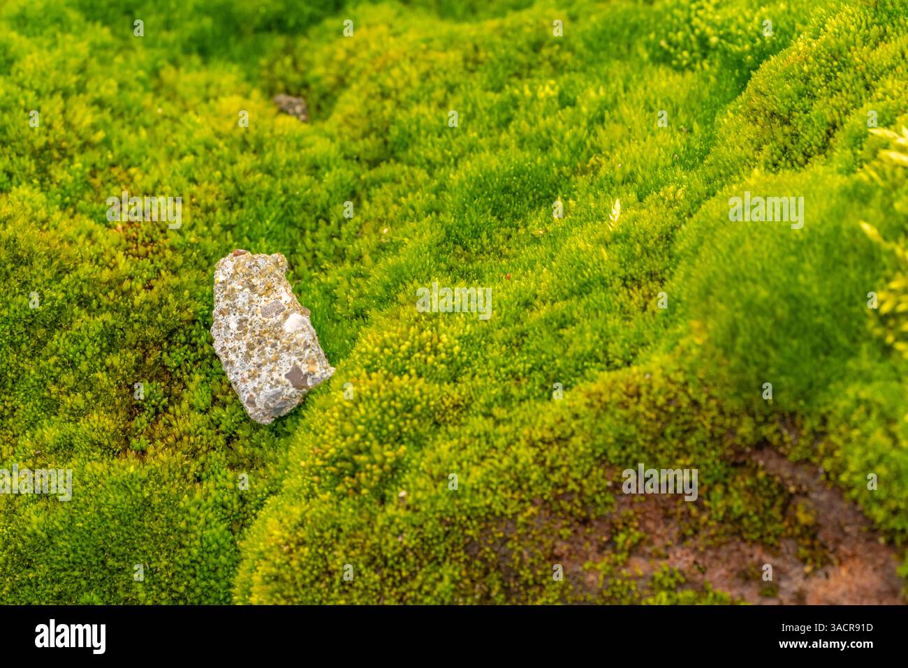 Signy research station hi-res stock photography and images - Alamy
