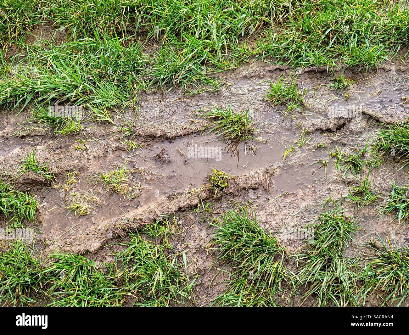 Rain continuous rain hi-res stock photography and images - Alamy