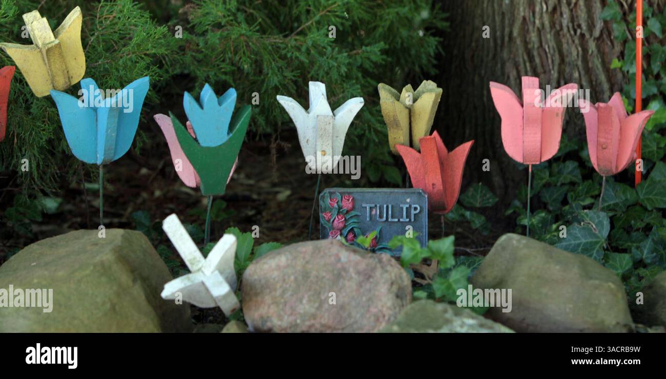 Wooden tulips among outdoor hi-res stock photography and images - Alamy