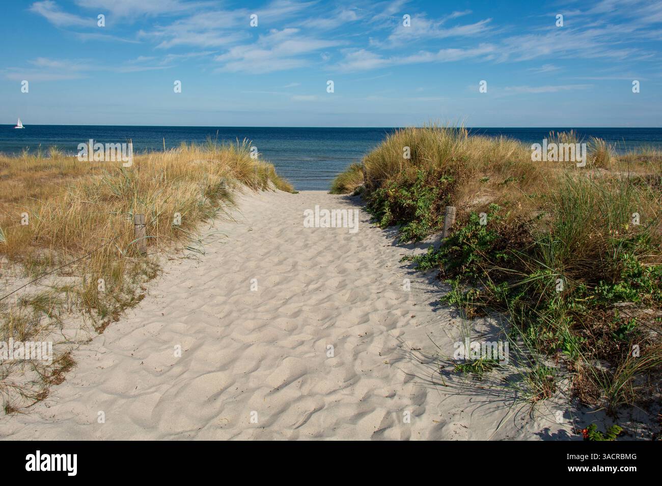 Path between the sand dunes overlooking the sea with blue sky Stock ...