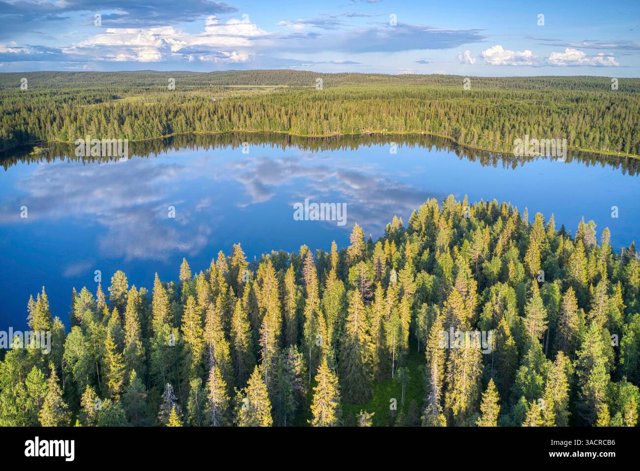 Finland, North Ostrobothnia, Rukatunturi area. Aerial views of forest ...