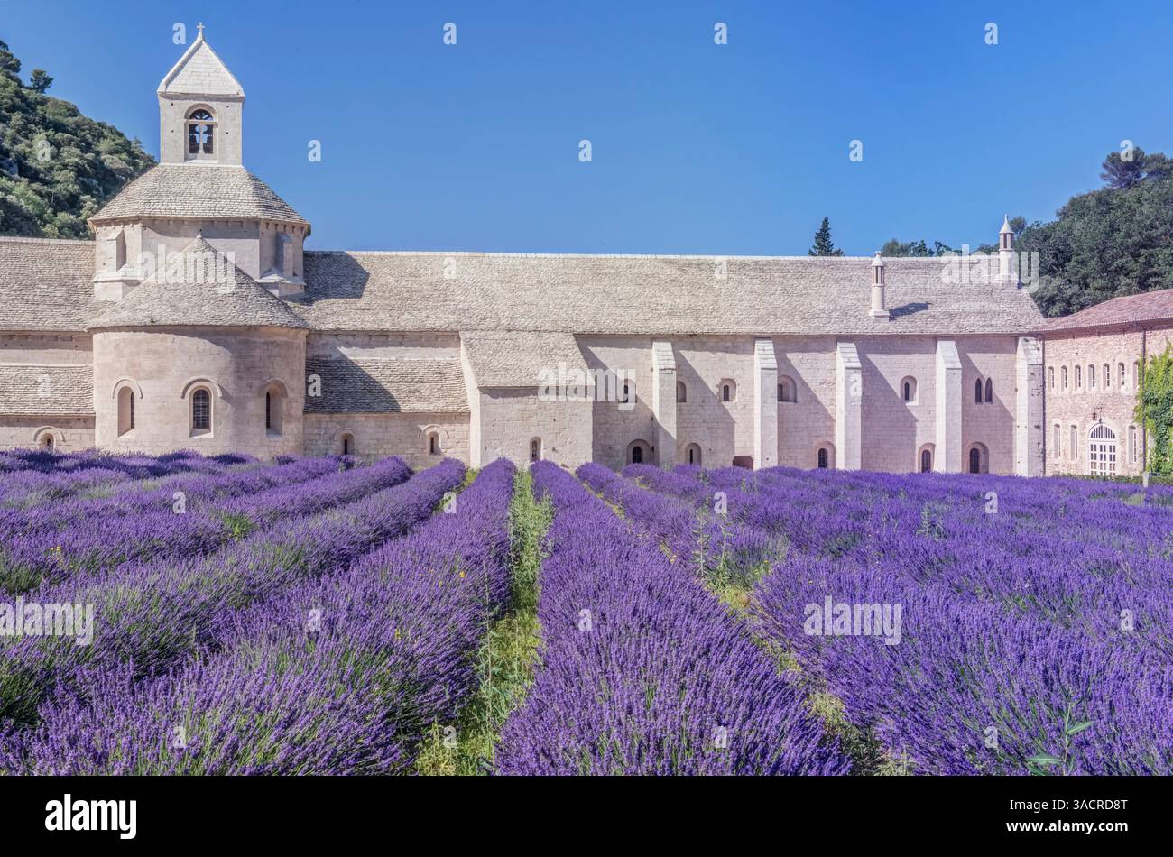 France, Provence, Gordes. Abbey of Our Lady of Senanque (Abbey Notre ...