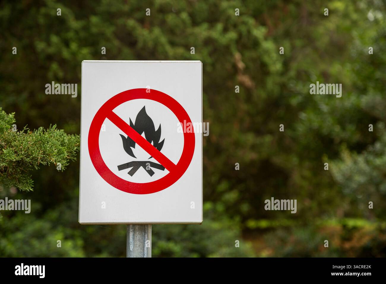 Information sign, prohibition sign in the forest 'Fire prohibited ...