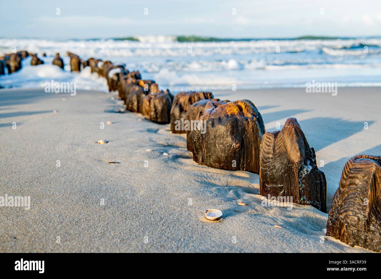 Surf waves on an old wooden groyne Stock Photo - Alamy