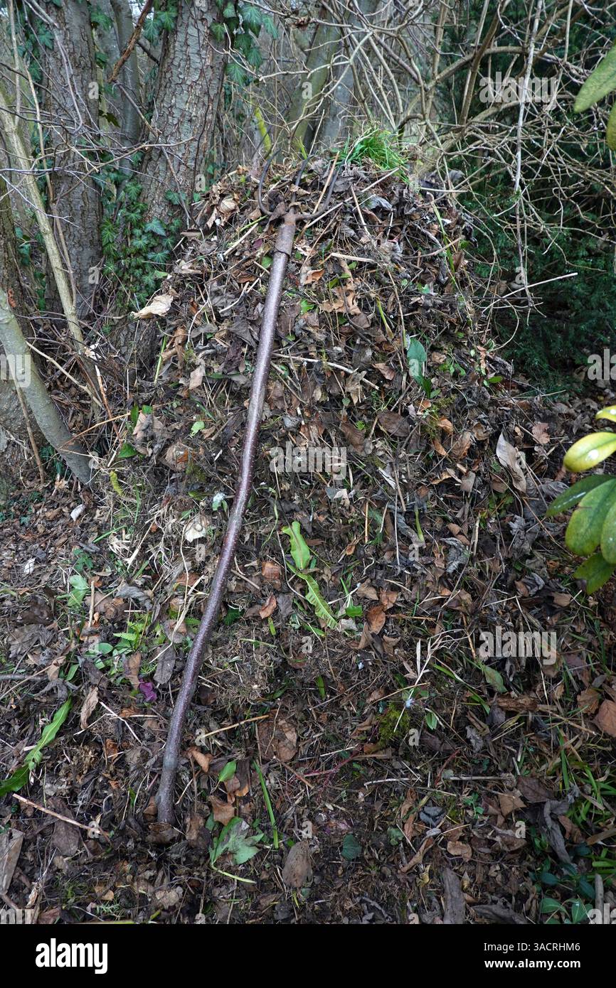 Large pile of leaves for composting at the edge of the garden Stock ...