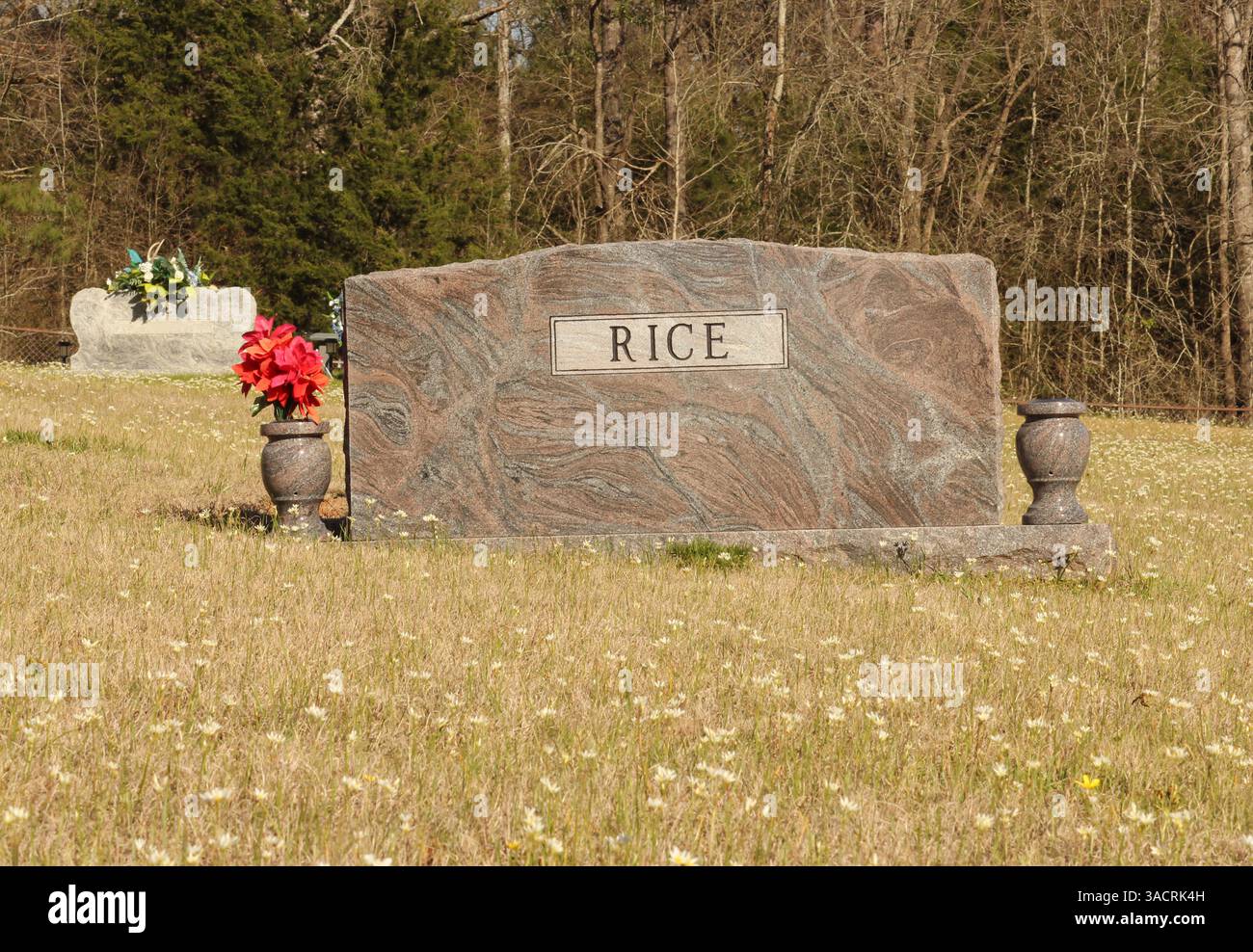 Rice on Headstone Death of Rice Concept Economy Concept Stock Photo - Alamy