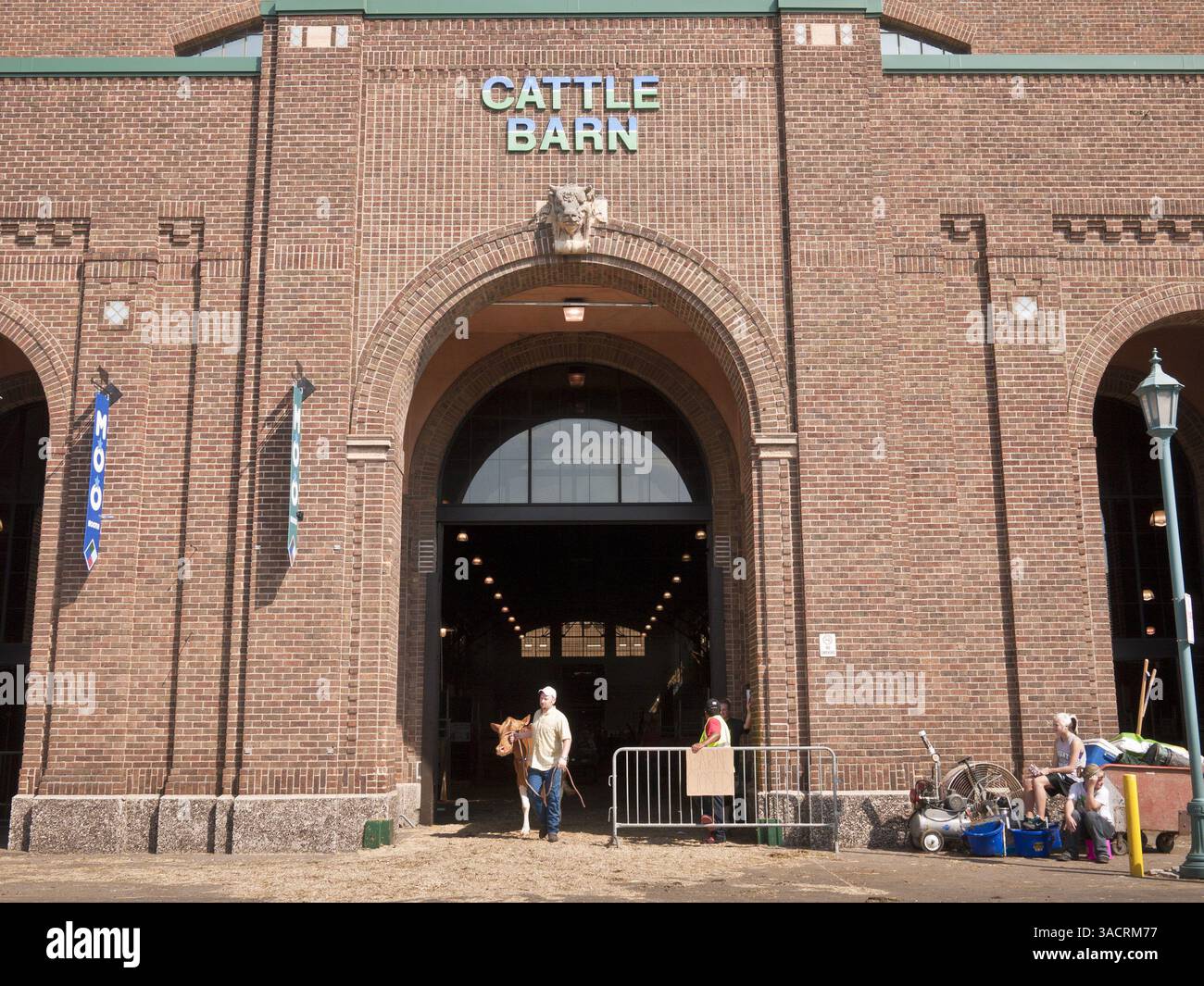 Minnesota state fair cattle barn hi-res stock photography and images ...