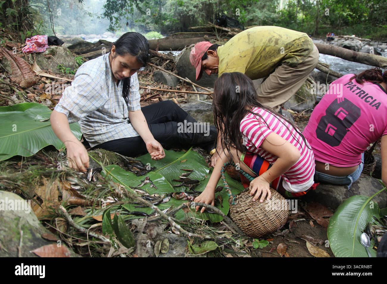 Sept. 2, 2011 - Santo Domingo, TSACHILA, Ecuador - SANTO DOMINGO 30/08/2011...RUTA TSACHILA ...