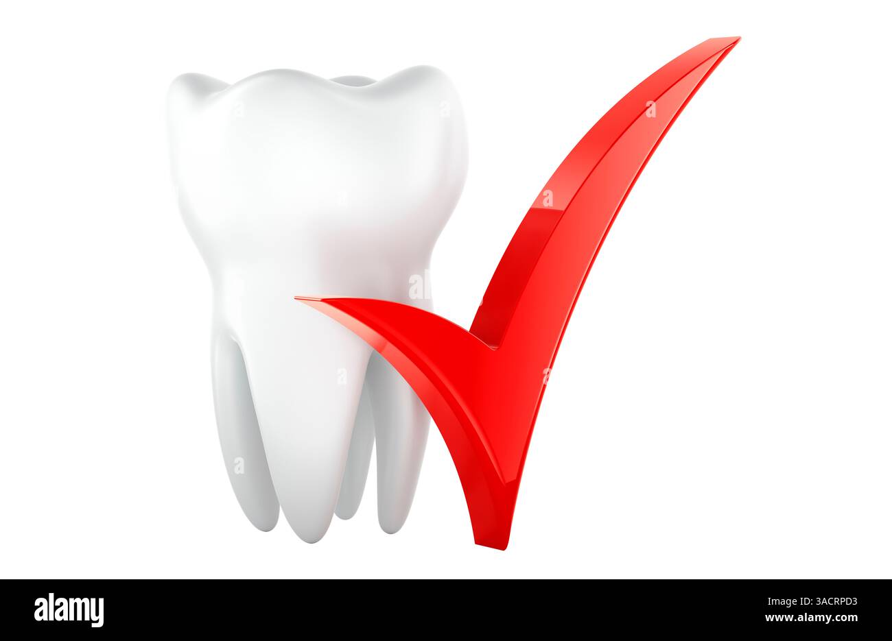 Molar Tooth with red check mark, 3D rendering isolated on white ...