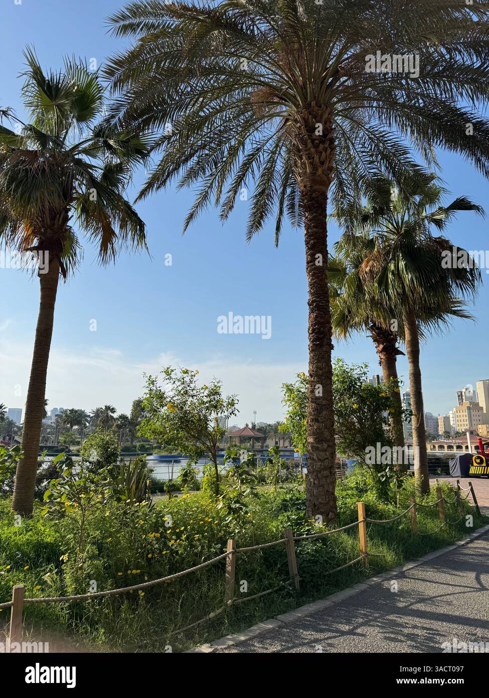 Boulevard Park- Kuwait City Stock Photo - Alamy