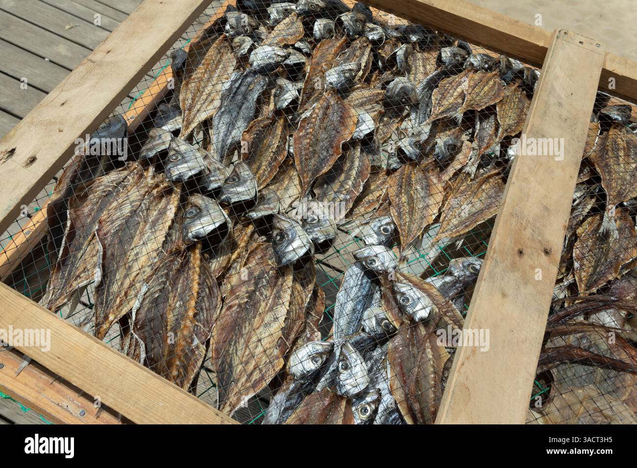 Traditional drying of fish in Portugal Stock Photo - Alamy