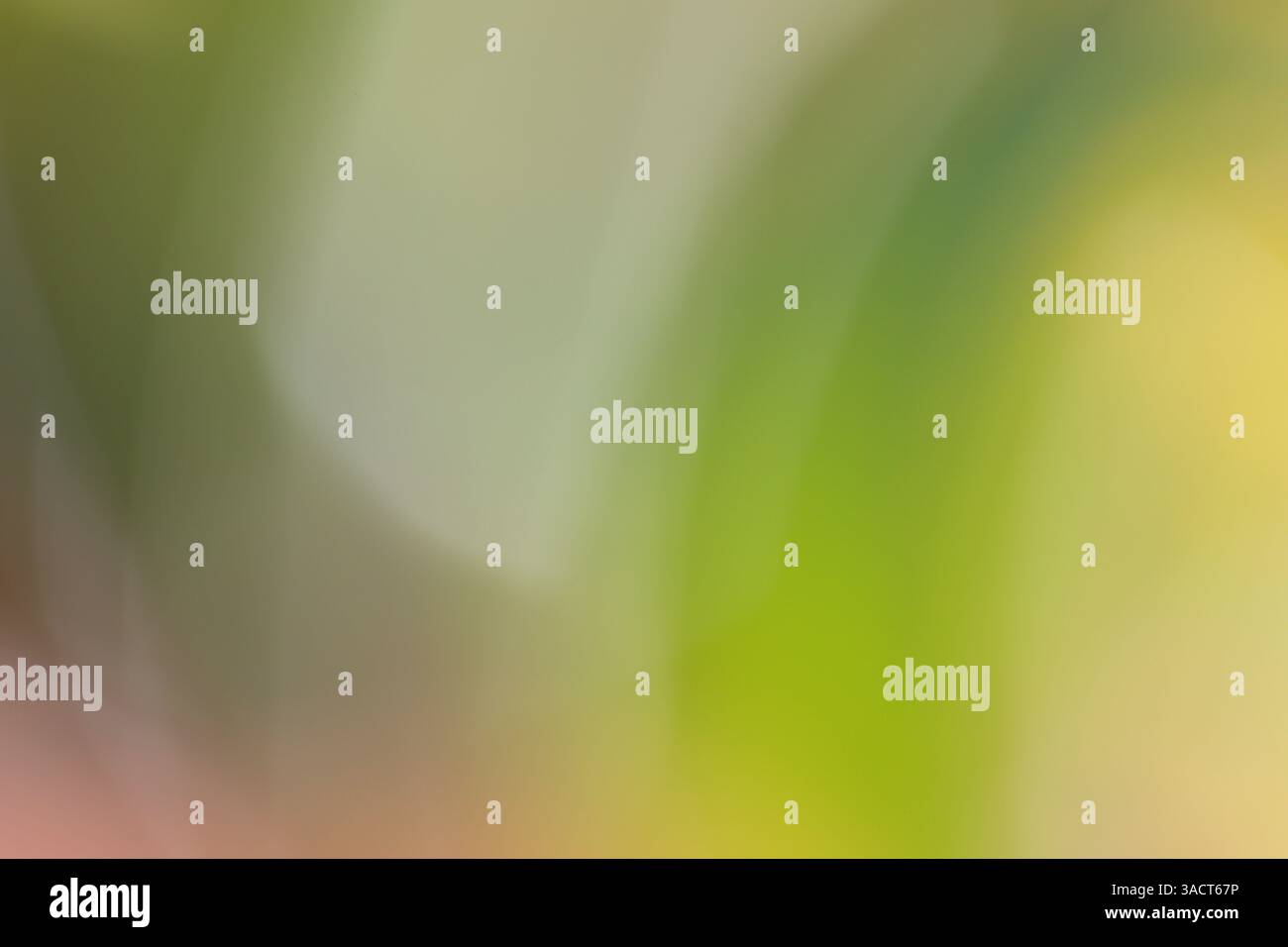 Background photo minimal hi-res stock photography and images - Alamy