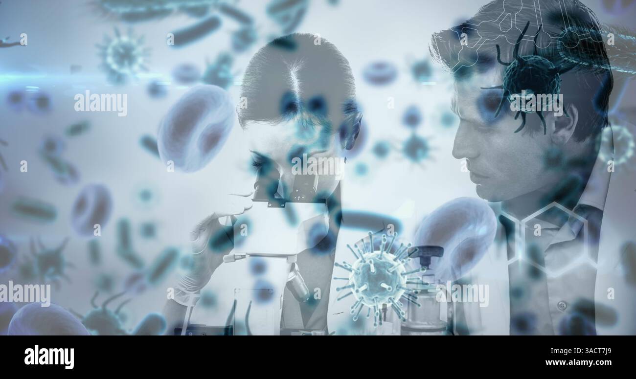 Examining samples under microscope, scientists in laboratory analyzing ...