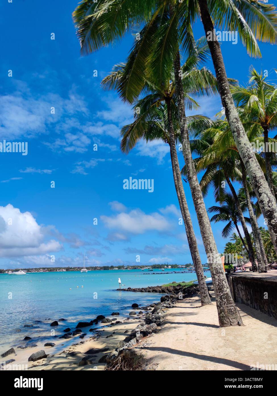 Palm trees on the beach in Grand Baie, Mauritius Stock Photo - Alamy