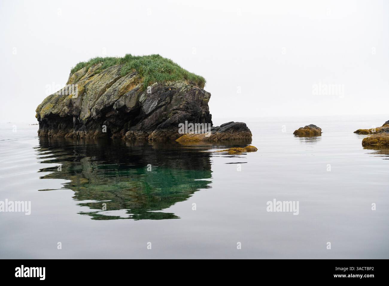 Bird island in the pacific aleutian islands hi-res stock photography ...