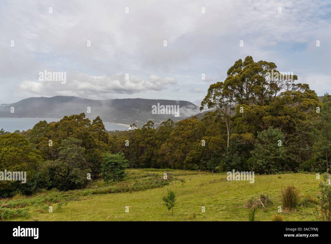 Landscape at Cape Raoul, a mighty cliff with breathtaking views of the ...