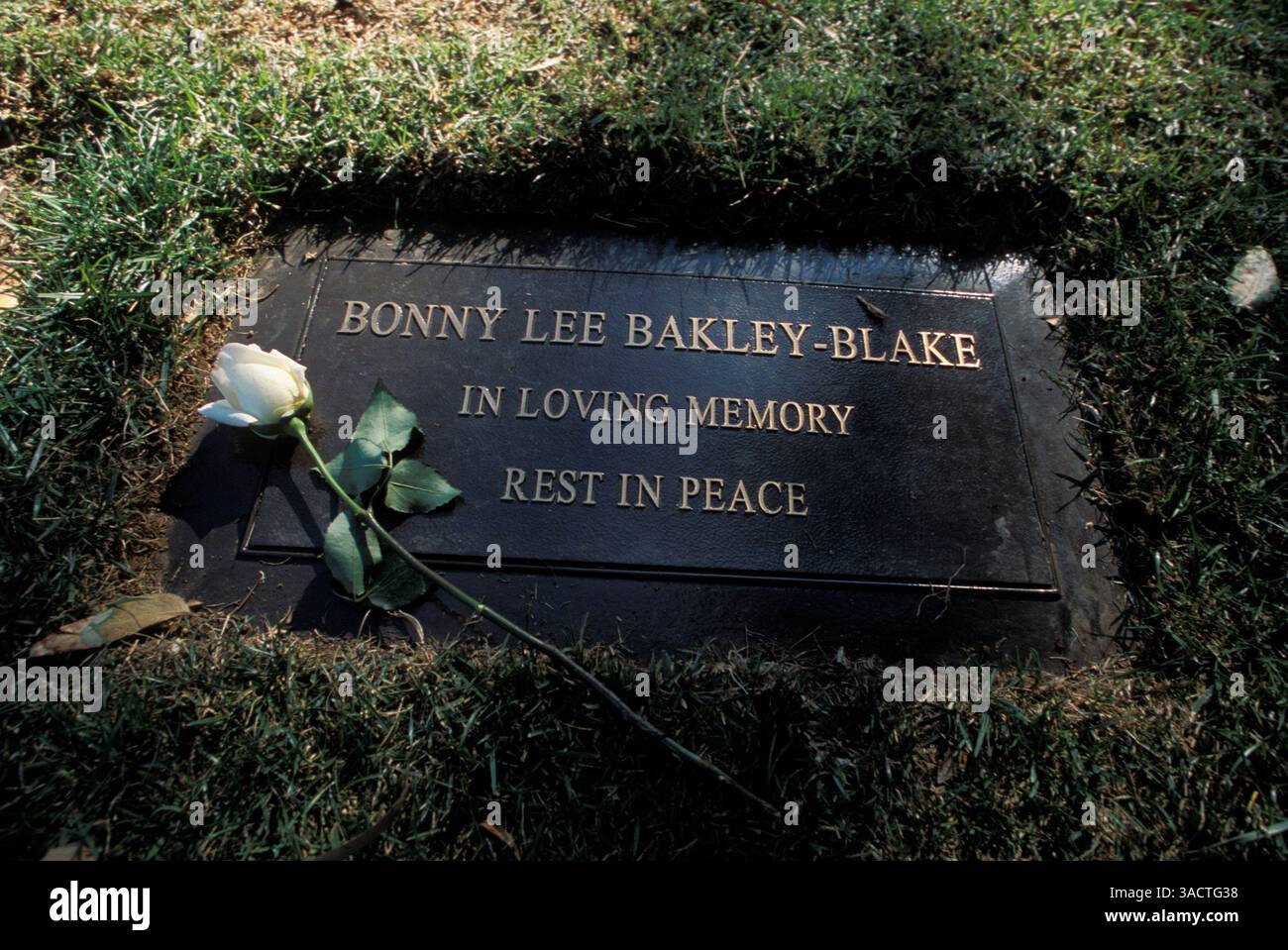 Nov 24, 2001; Hollywood, CA, USA; A single rose tops the grave of Bonny ...