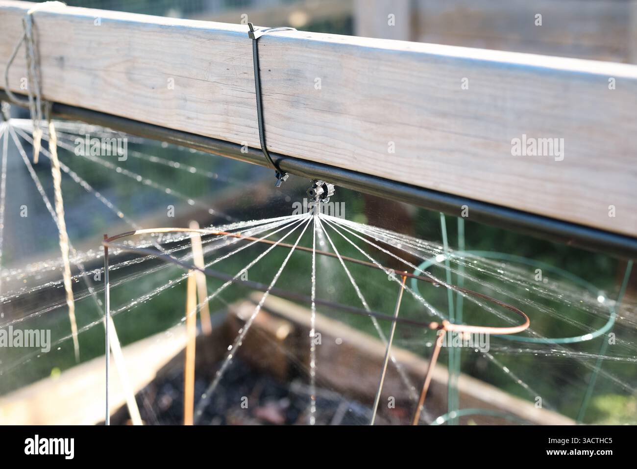 Overhead irrigation system or sprinkler for garden bed. Focus on one ...