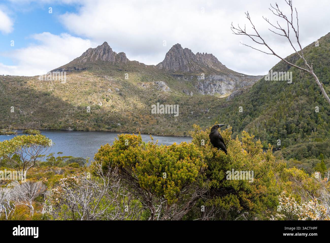 Cradle Mountain Lake St Clair National Park is a national park in the ...