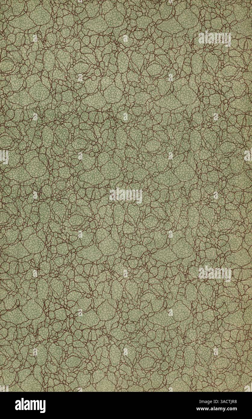 The 1909 Hesperian yearbook from West High School captures key moments ...