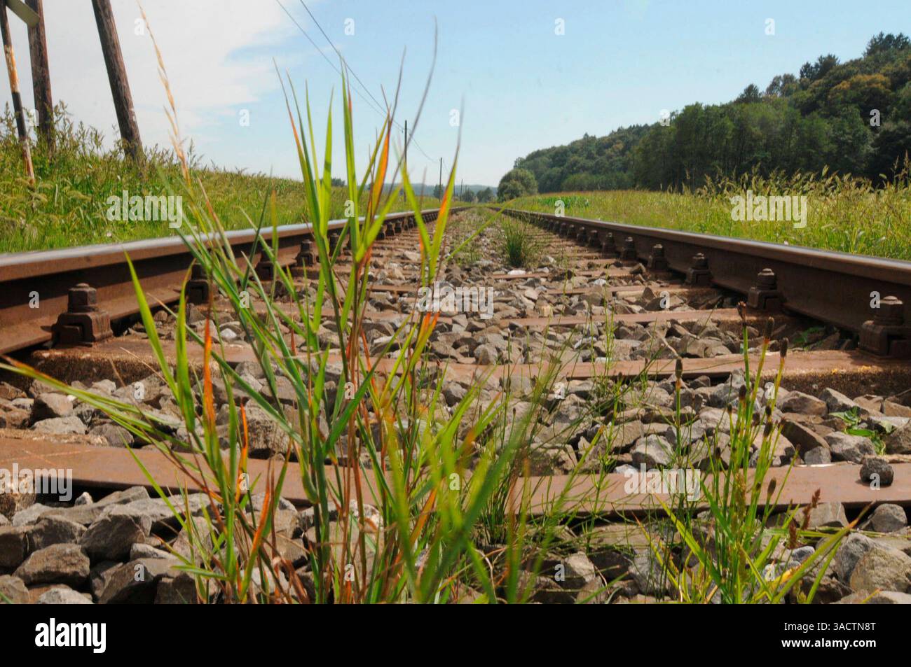 abandoned railroad line and rails in public transport and freight ...