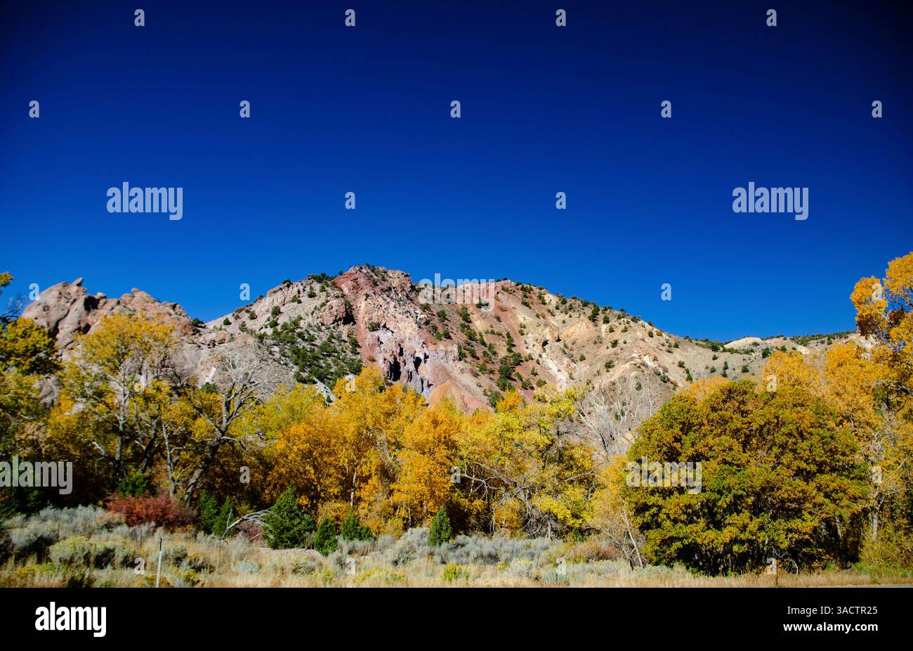 Elsinore hi-res stock photography and images - Alamy