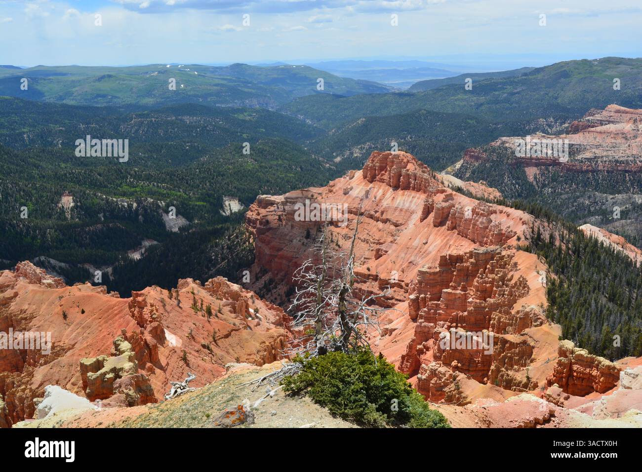 Cedar Breaks National Monument with snow in Cedar City Utah USA Stock ...