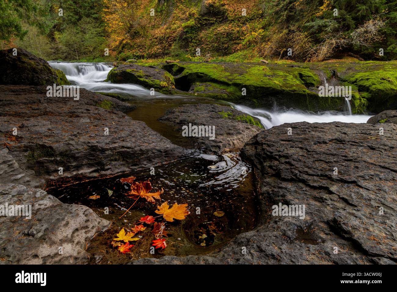 Lower Lewis River Falls in autumn in the Gifford Pinchot National ...