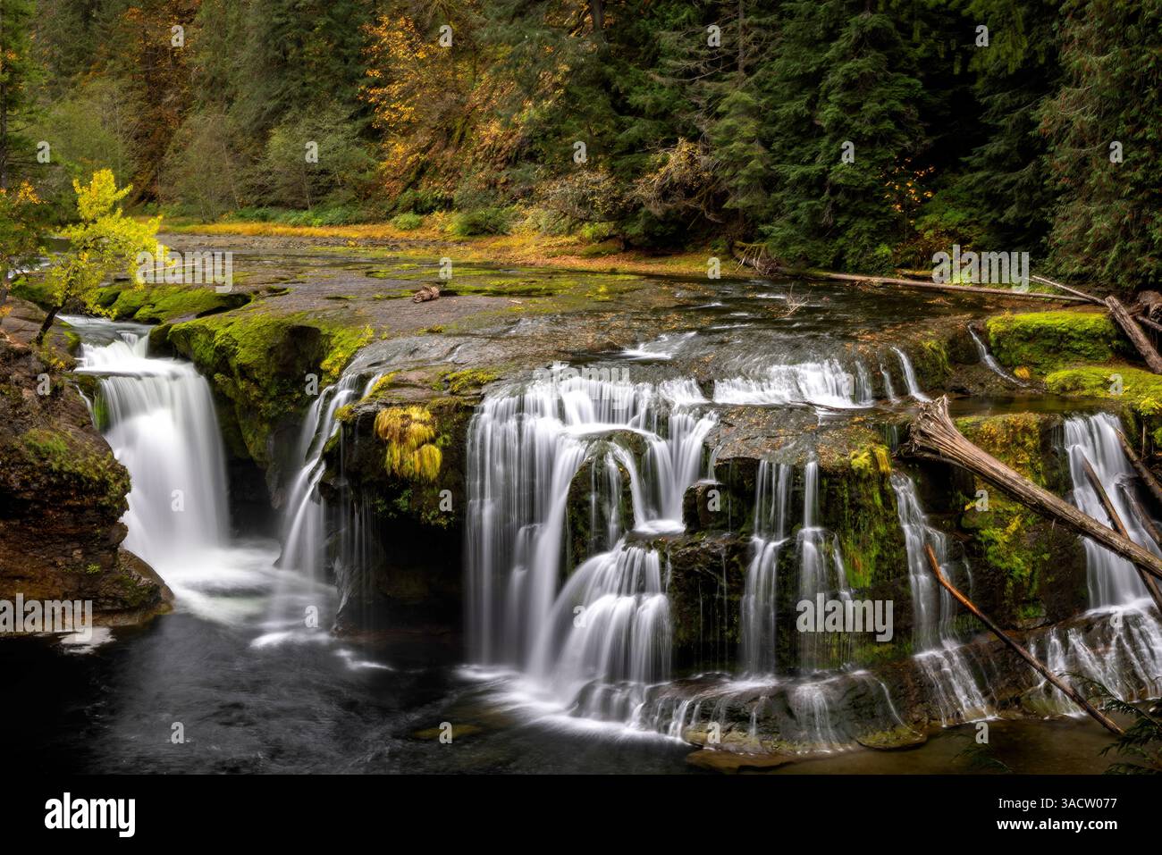 Lower Lewis River Falls in autumn in the Gifford Pinchot National ...
