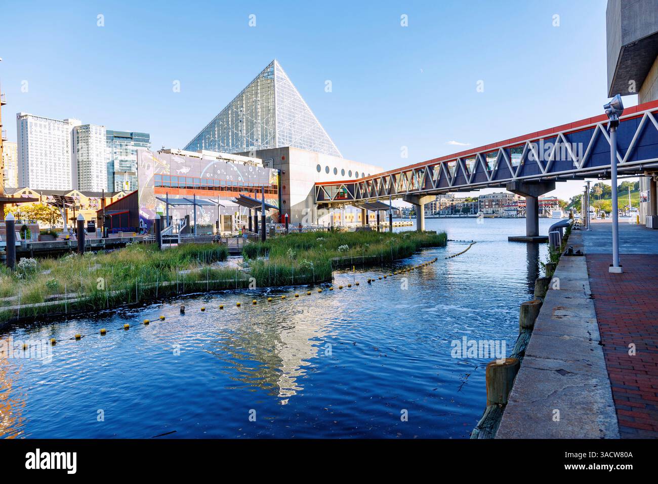 Harbor Wetland, National Aquarium and bridge to the Marine Mammal ...