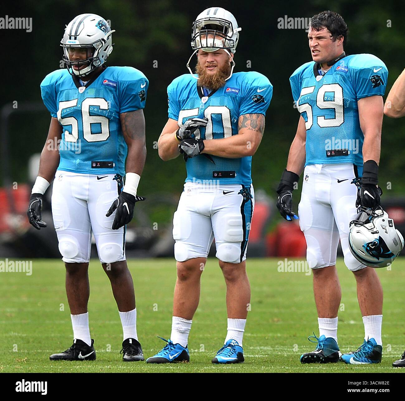 Luke kuechly team hi-res stock photography and images - Alamy