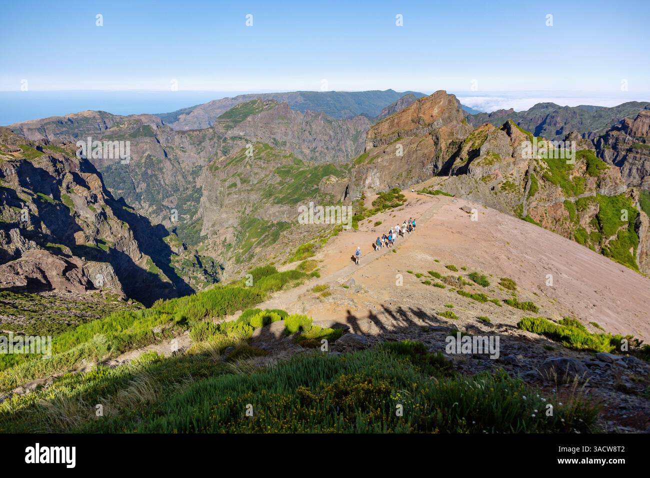 Parque natrual da madeira hi-res stock photography and images - Alamy
