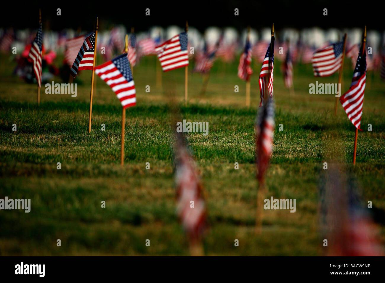 May 22, 2008 - San Antonio, Texas, USA - Flags decorate the graves at ...