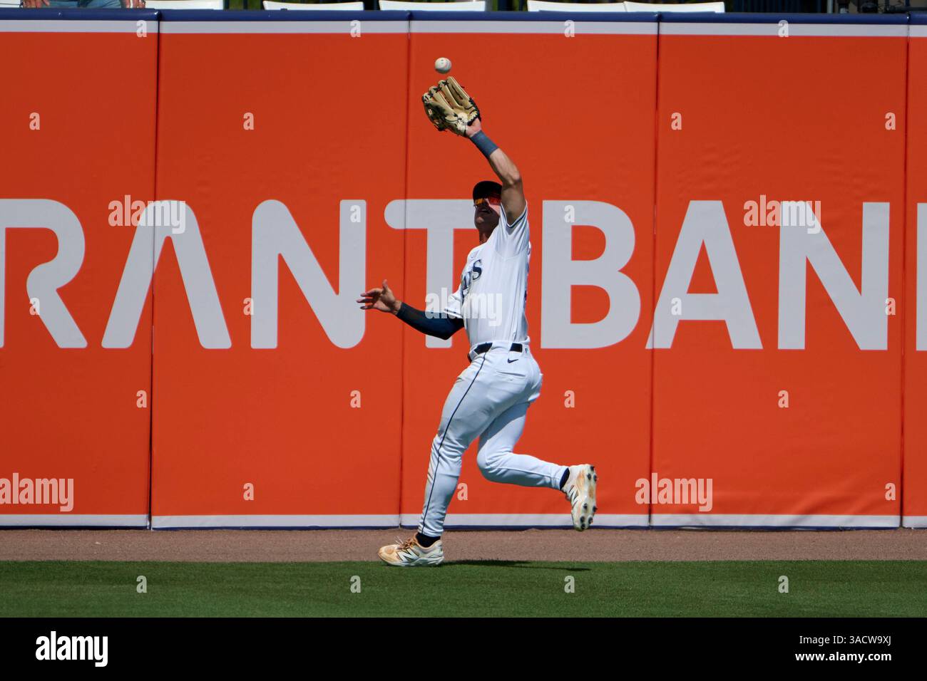 Tampa Bay Rays outfielder Jonny DeLuca (21) catching a fly ball during ...