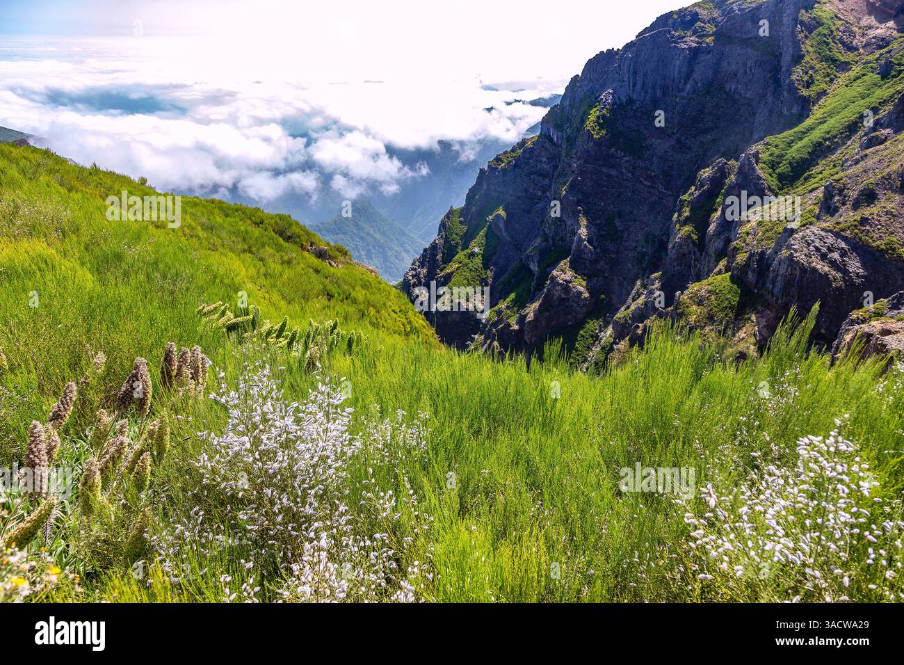 Pico do Arieiro, Pico Ruivo, summit, PR1 hiking trail, Portuguese ...