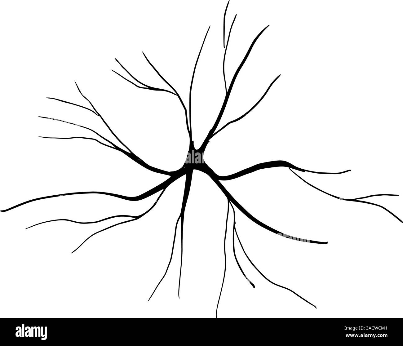 Seismic activity Black and White Stock Photos & Images - Alamy