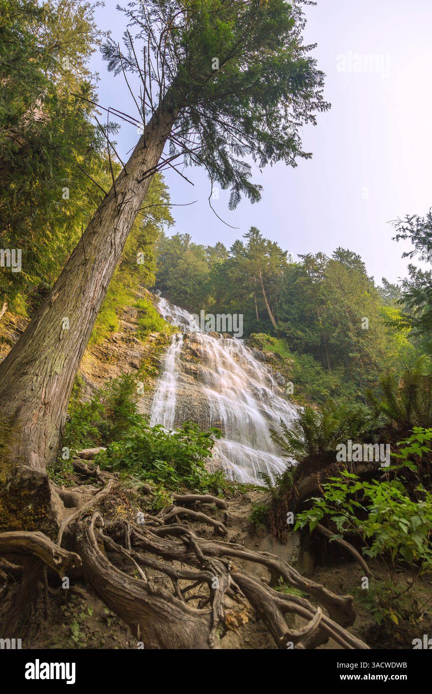 Bridal Veil Falls Provincial Park near Chilliwack, waterfall, British ...