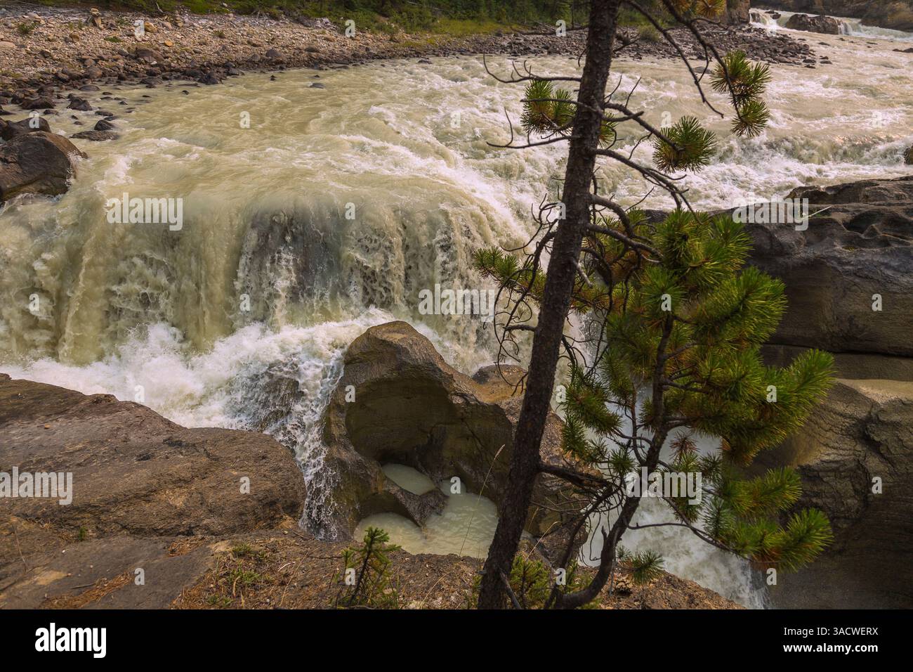 Jasper National Park, Sunwapta Lower Falls, Alberta, Canada Stock Photo ...