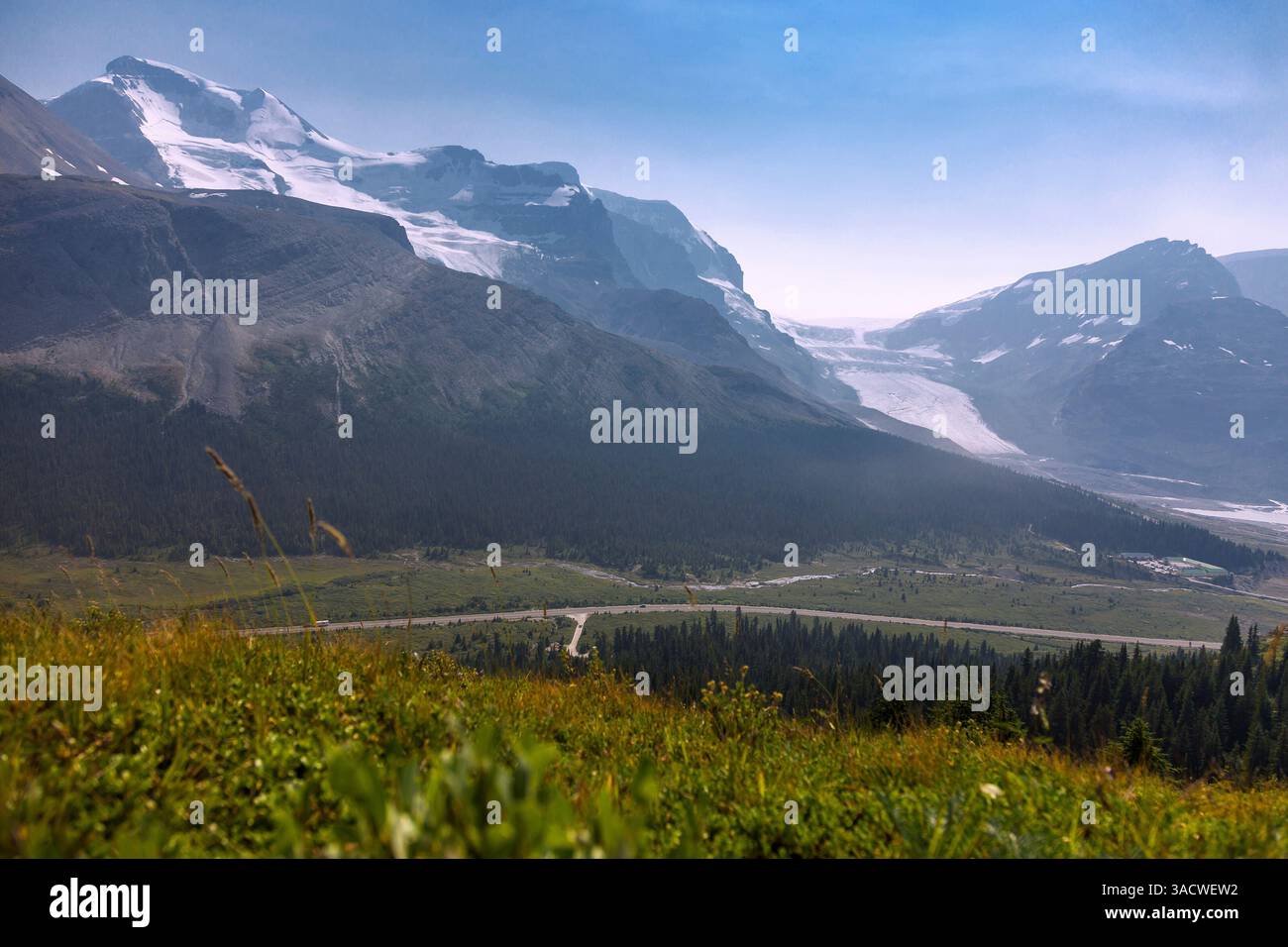 Jasper National Park, Columbia Icefield, Wilcox Pass Trail, Alberta ...