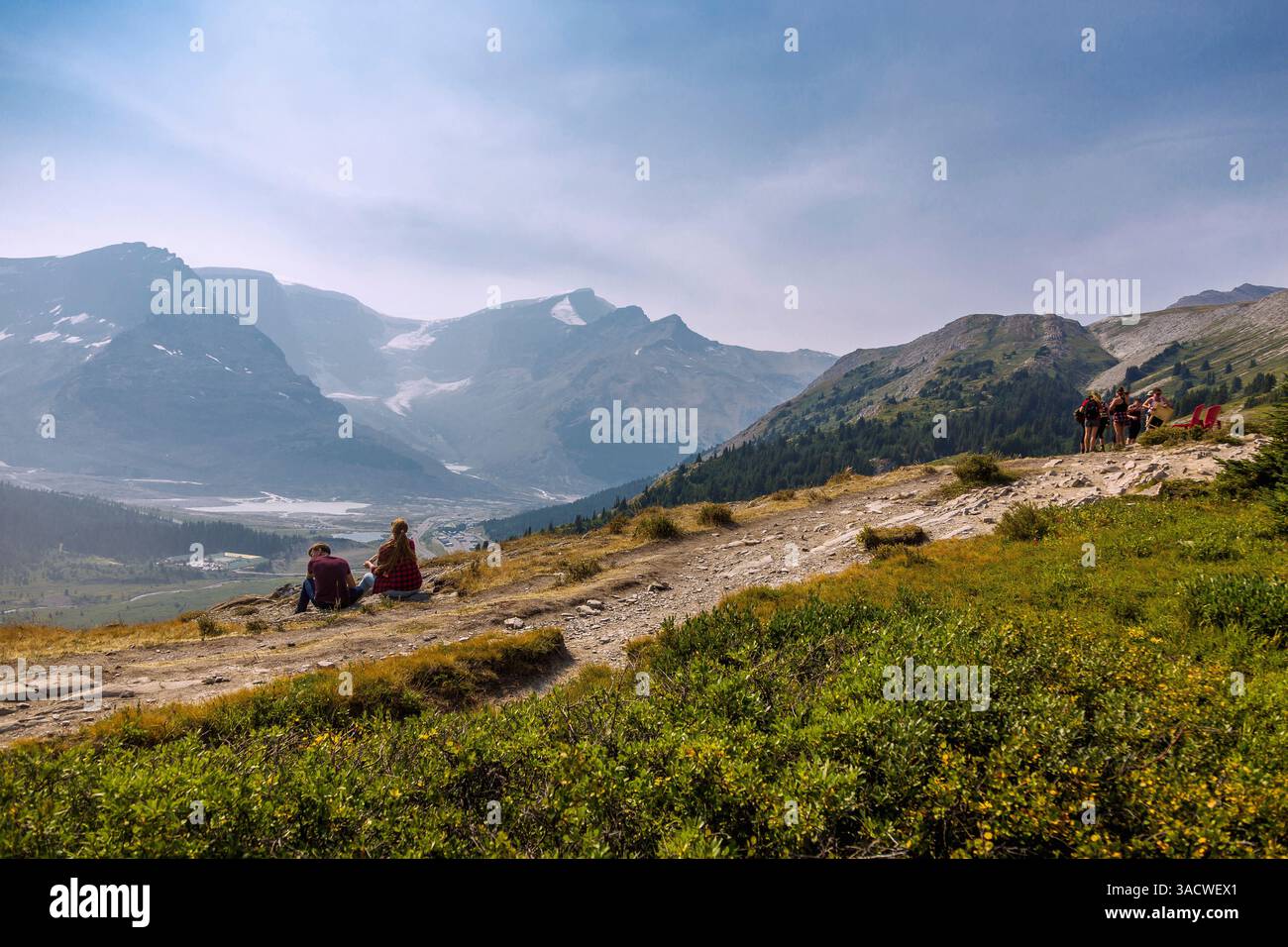 Jasper National Park, Columbia Icefield, Wilcox Pass Trail, Alberta ...