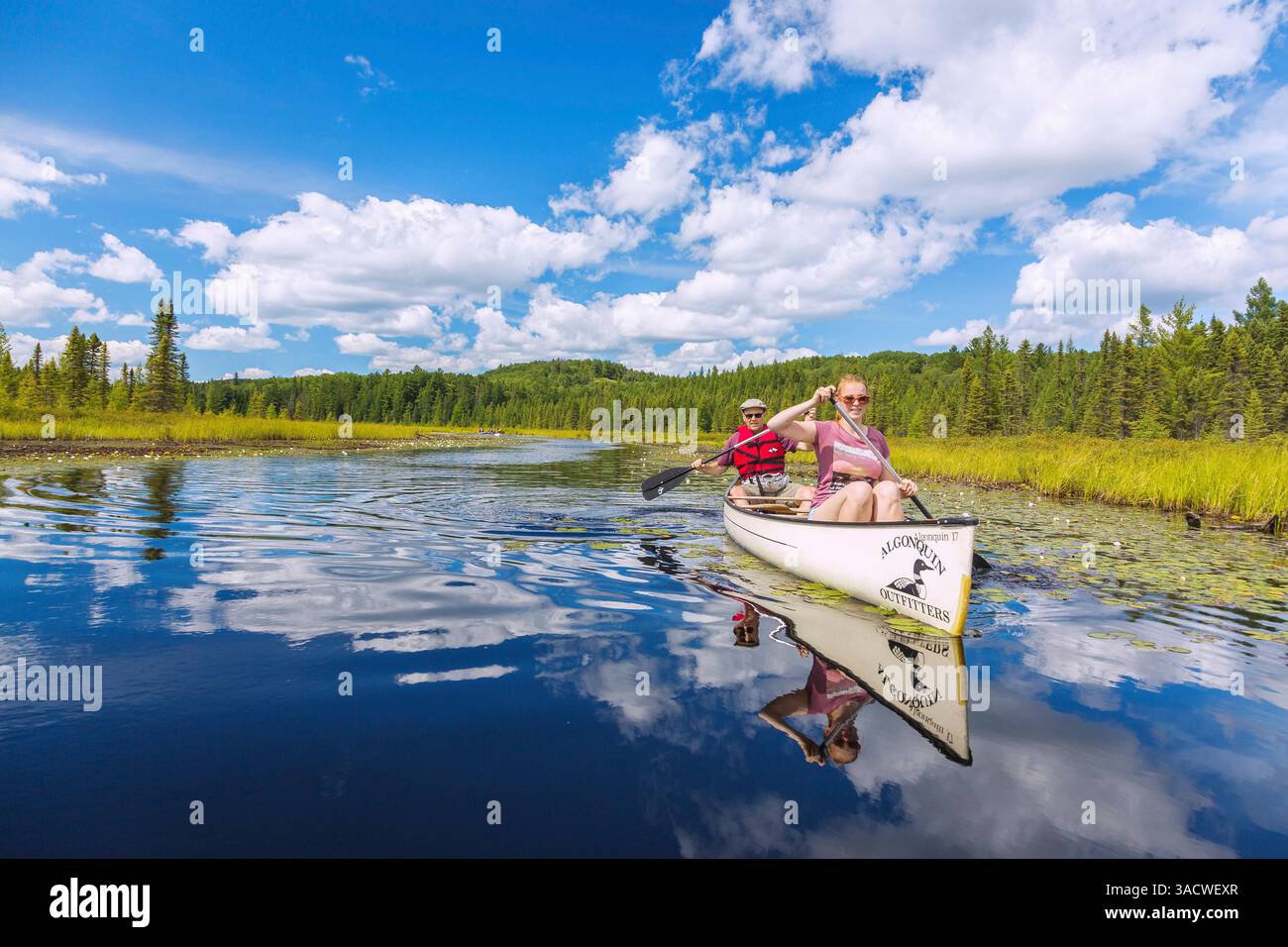 Algonquin Provincial Park, Opeongo Lake, Canoes, Ontario, Canada Stock ...
