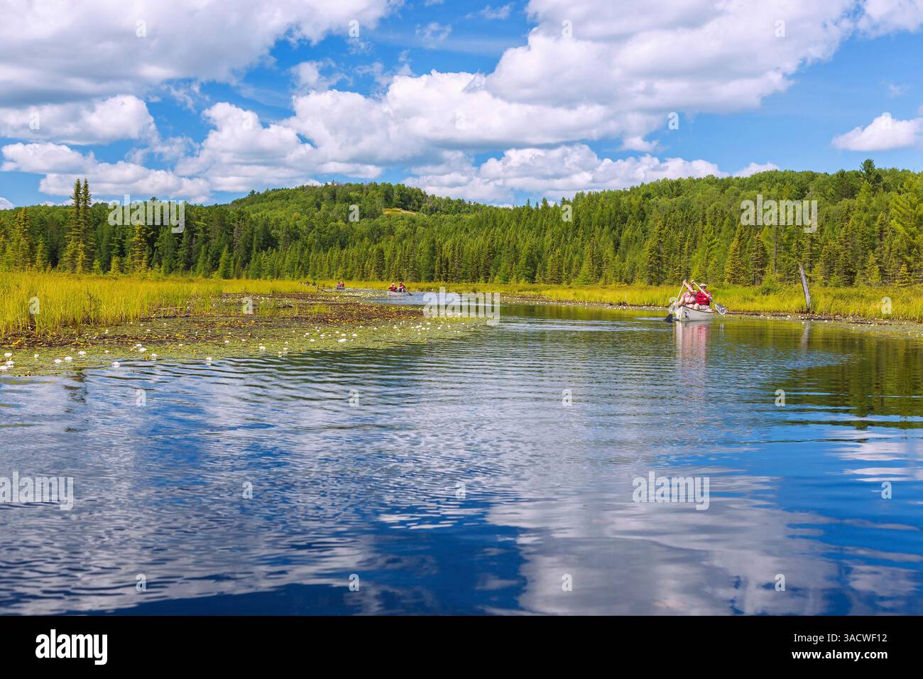 Algonquin Provincial Park, Opeongo Lake, Canoes, Ontario, Canada Stock ...