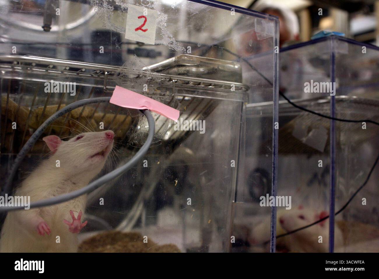 Lisa lisa mifflin hi-res stock photography and images - Alamy