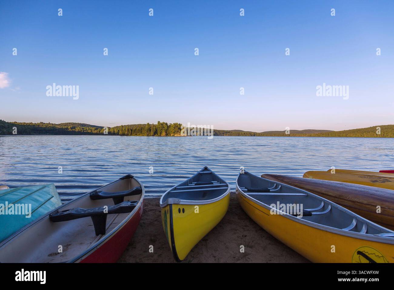 Algonquin Provincial Park, Lake of Two RIvers, Canoes, Ontario, Canada ...