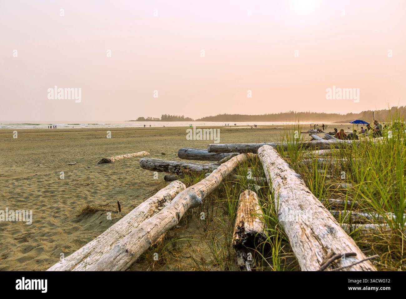 Sunset pacific rim national hi-res stock photography and images - Alamy