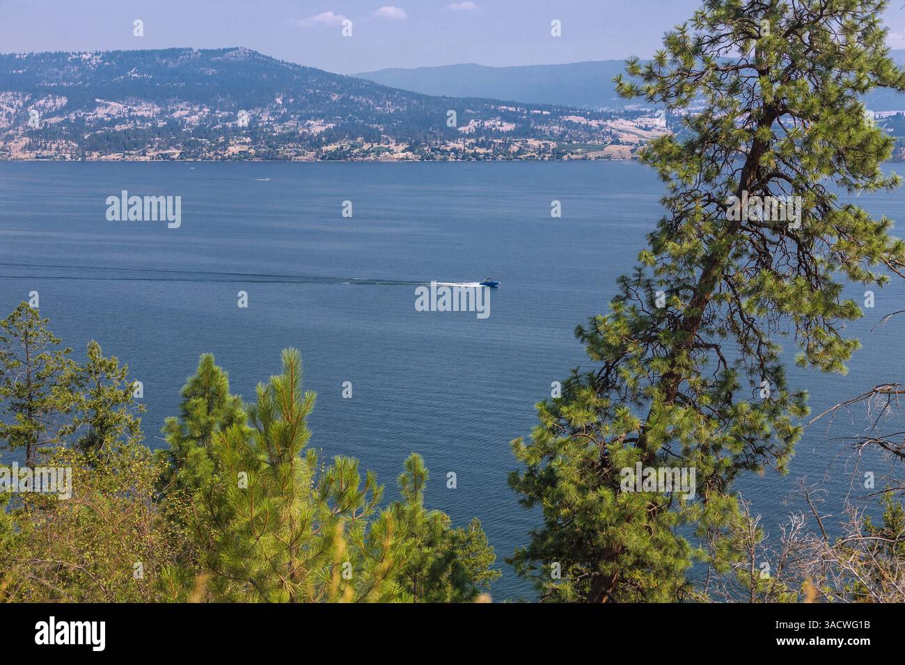 View from fintry provincial park hi-res stock photography and images ...