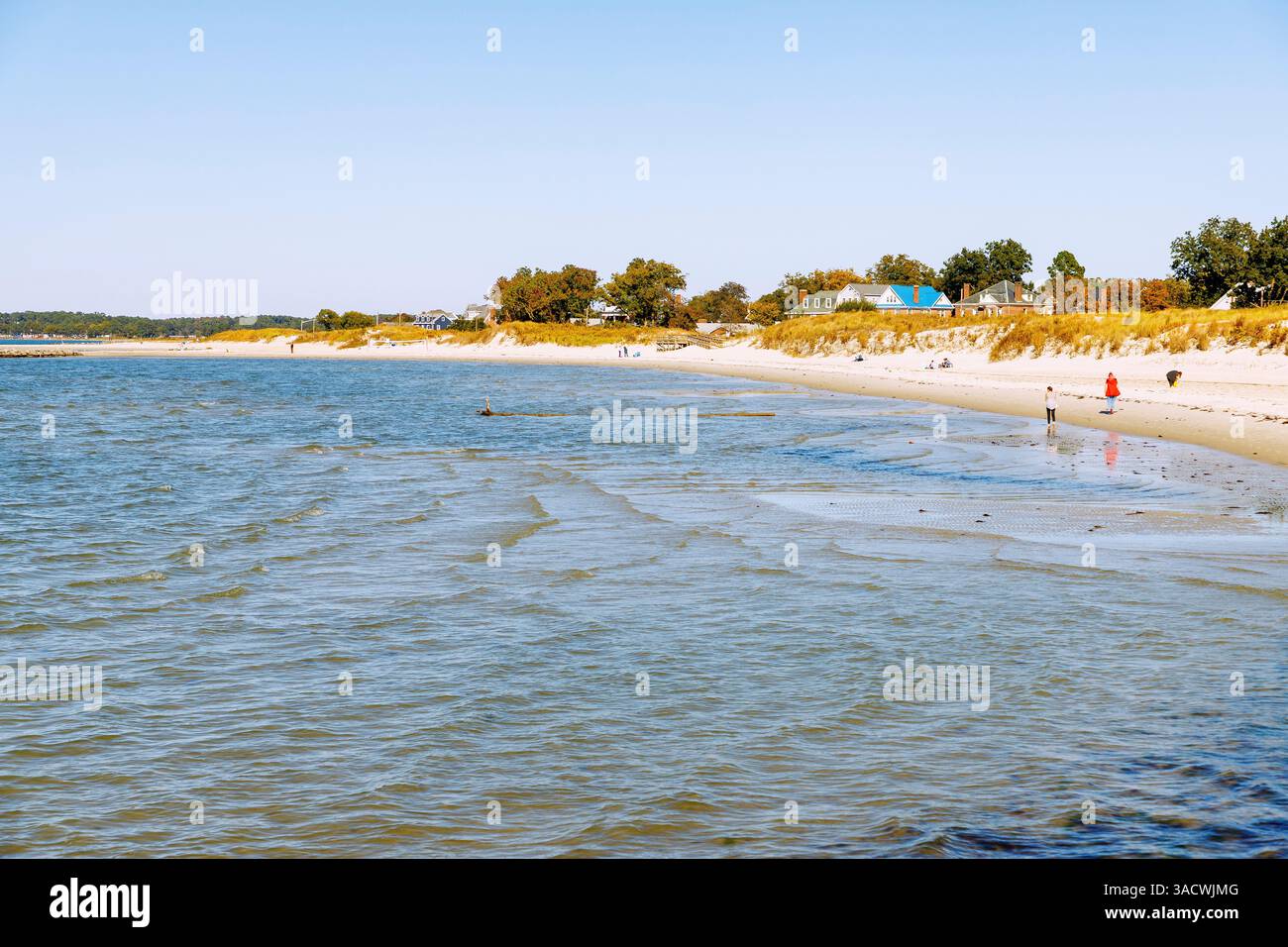 Sandy beach and dunes in Cape Charles on the Delmarva Peninsula ...